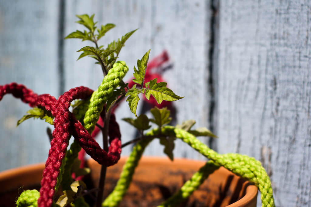 Tips For Developing A Budget For Small Businesses Anchor Advisors